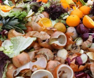 Wet Waste Processing – MGS Environ Pvt. Ltd.